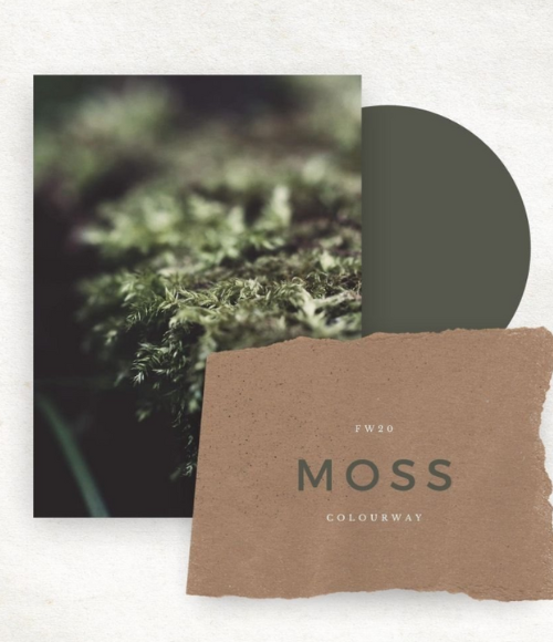 Semi-Annual Home, Gift & Ladies – Bambinos at Curated Boutique